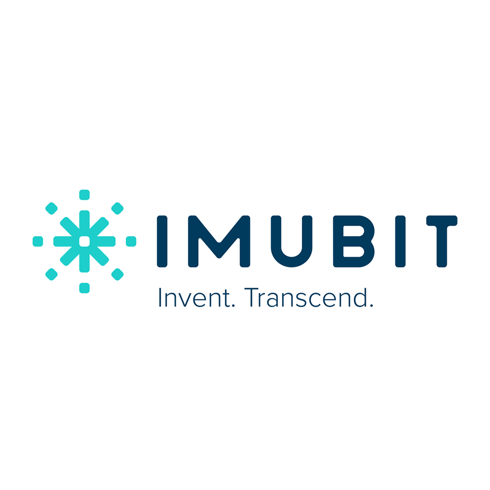 Providing Scalable Finance Support to Imubit - Burkland